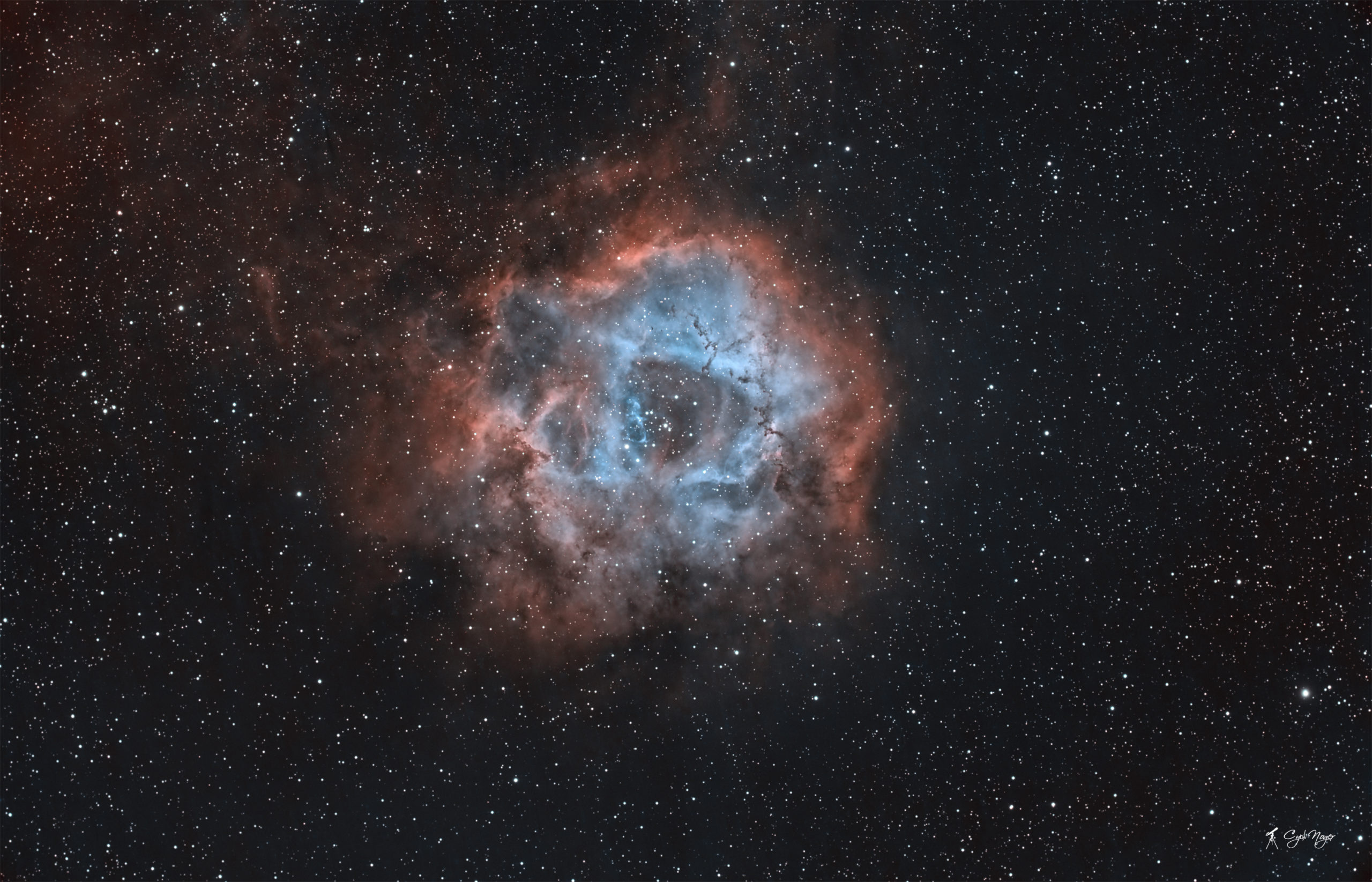 Nébuleuse de la Rosette (NGC 2244) retravaillée avec une palette de ...